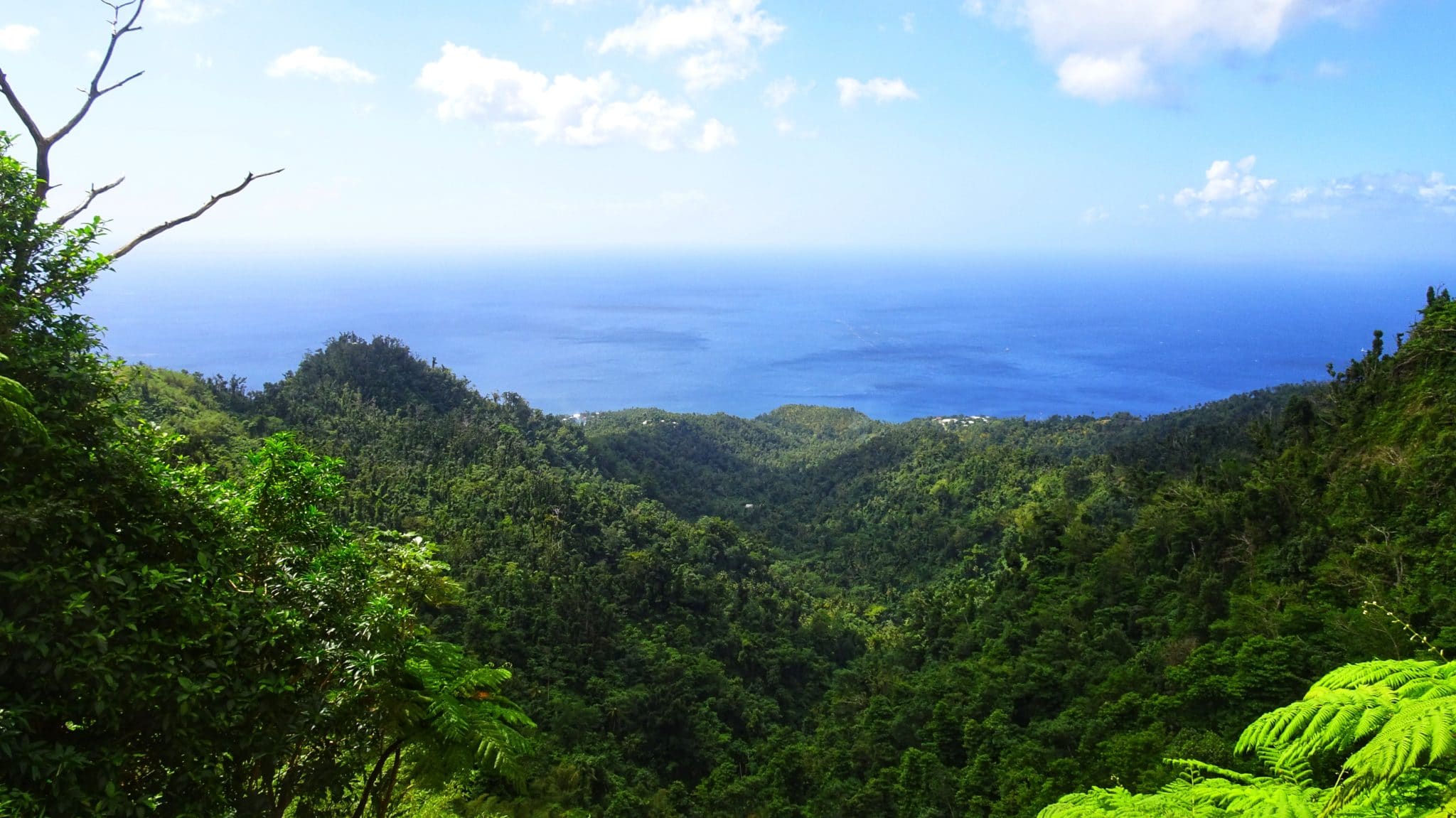 Préparer son voyage sur l’île de la Dominique: Budget, itinéraire et ...