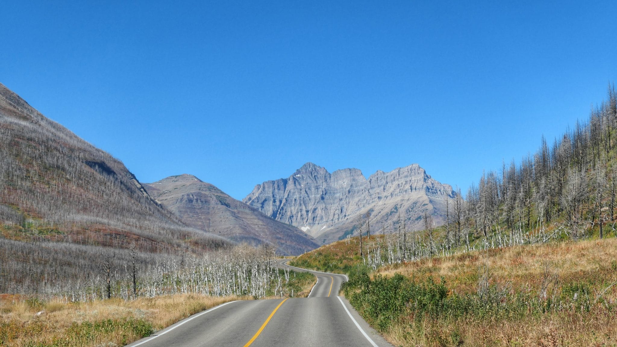 Préparer son roadtrip dans les Rocheuses canadiennes - Blog de voyage